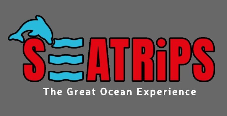 Lagos: Combo Dolphin and Benagil Tour with Marine Biologist - An Overview of the Tour Experience