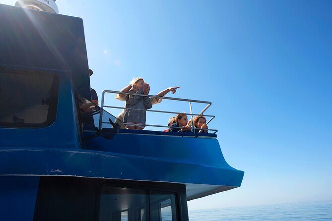 Lagos: Dolphins & Benagil Caves  Catamaran - The Experience in Detail