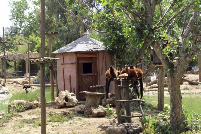 Lagos Zoo Admission Ticket - What the Reviews Say
