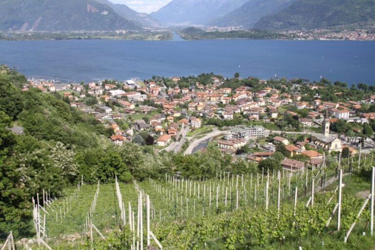 Lake Como: Winery Tour with Wine Tasting - FAQs