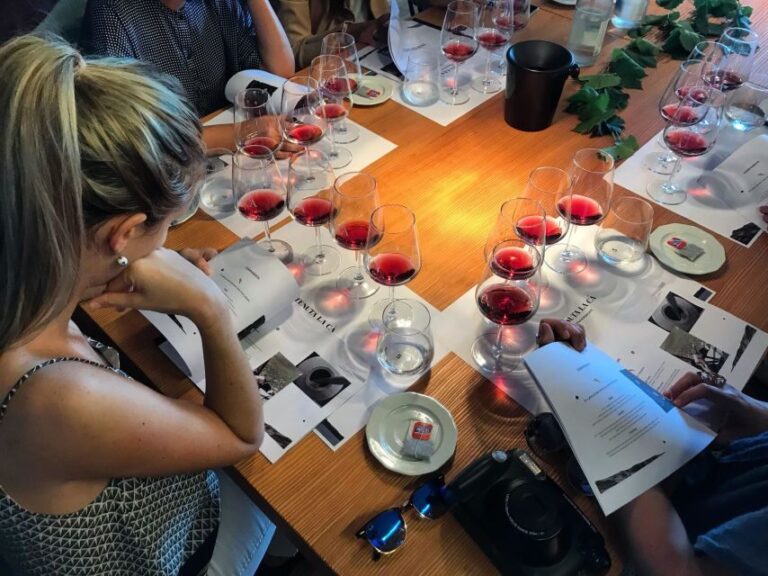 Lake Garda: Wine Tour and Tasting Experience in Bardolino - Who Will Love This Tour?