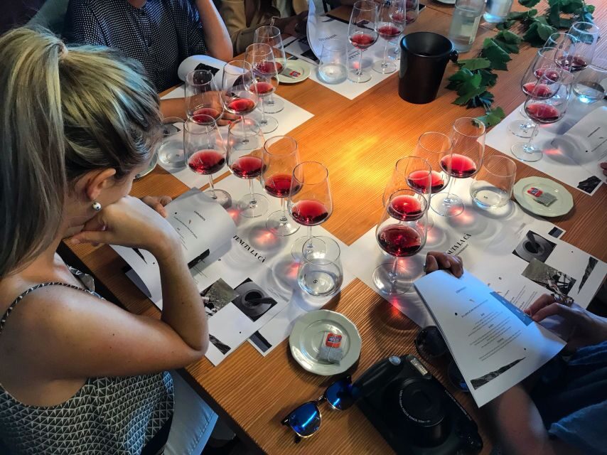 Lake Garda: Wine Tour and Tasting Experience in Bardolino - Who Will Love This Tour?