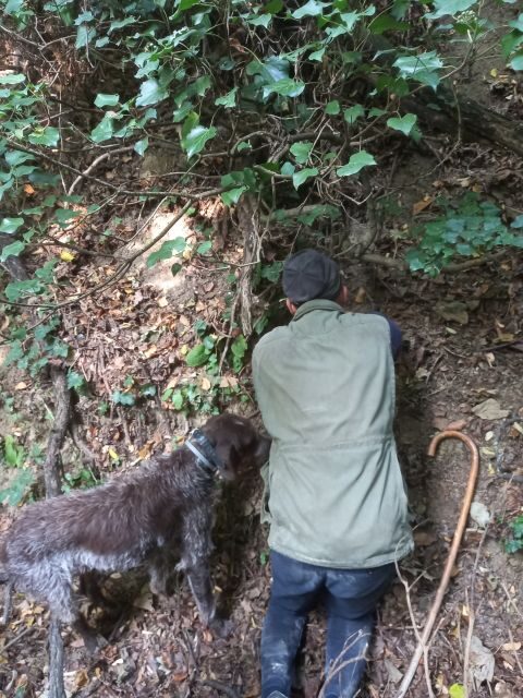 Langhe: Truffle Hunting Experience - What To Expect from Your Truffle Hunting Tour