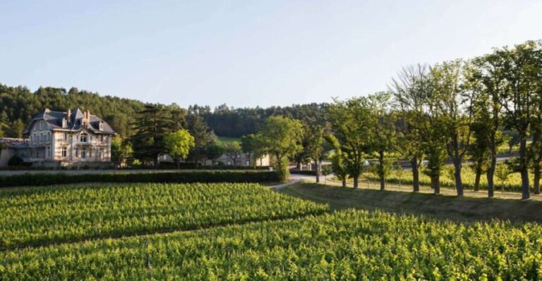Languedoc: Tour and Tasting at Domaine de Baronarques - Who Should Consider This Tour?