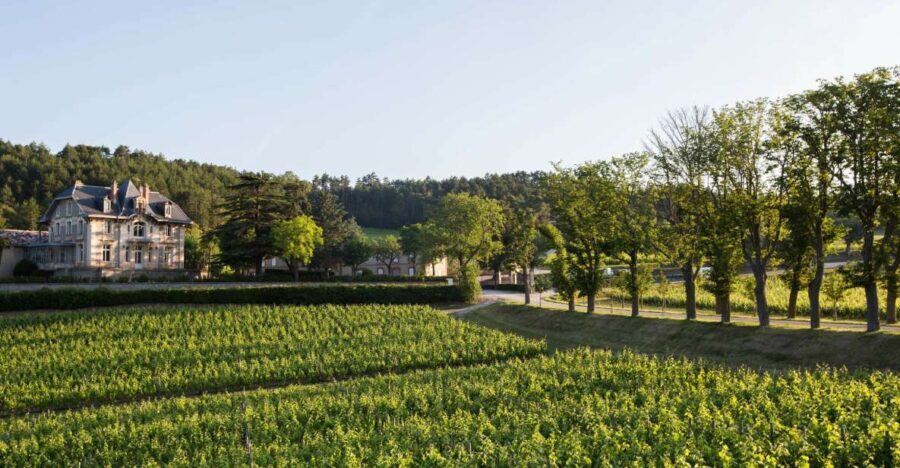 Languedoc: Tour and Tasting at Domaine de Baronarques - Who Should Consider This Tour?