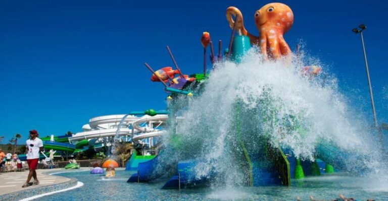 Lanzarote: Aqualava Waterpark Entrance Ticket - The Attractions and Experience