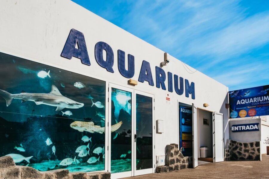 Lanzarote: Aquarium Entry Ticket - Who Might Want More?