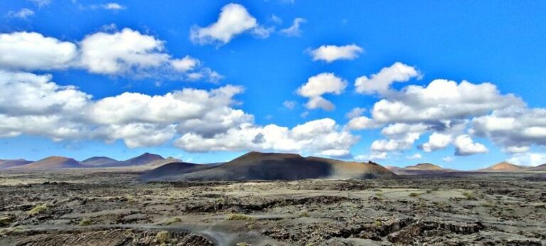 Lanzarote E-Bike Tour: Volcano Craters & Scenic Vineyards - Who Will Love This Tour?