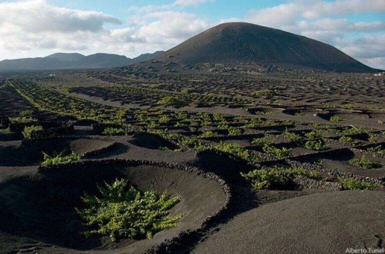 Lanzarote: Full Day Bus Tour with Scenic Views - Who Is This Tour Best For?