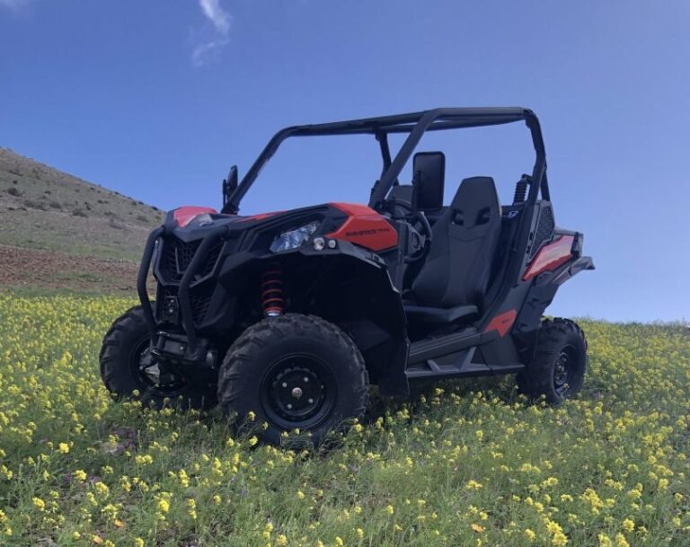 Lanzarote: Guided Can-Am Trail Buggy Tour - Scenic Highlights & Unique Views