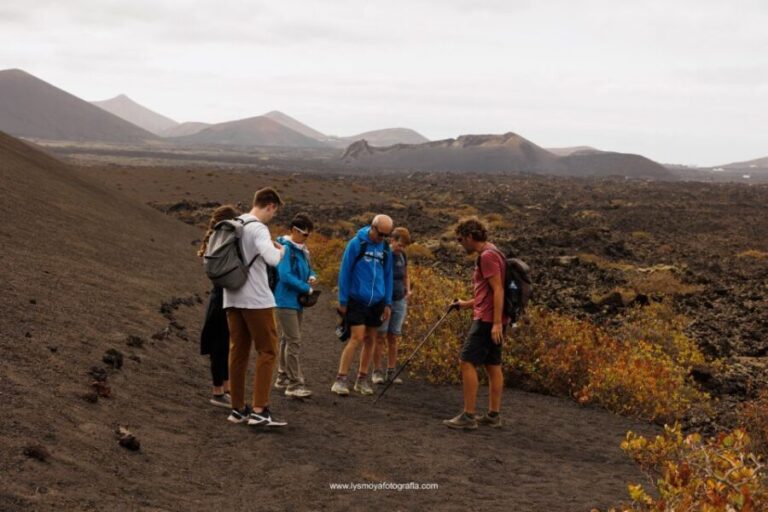 Lanzarote: Hike Across Timanfaya's Volcanic Landscapes - Price & Value: Is It Worth It?