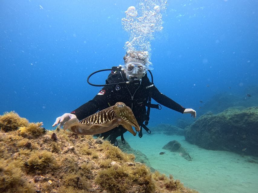 Lanzarote: Intro to Diving Experience for Beginners - How the itinerary unfolds