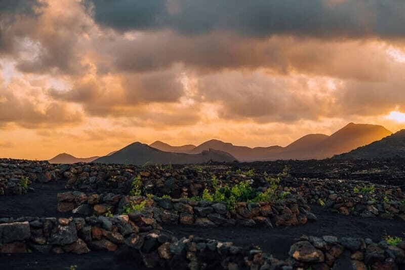 Lanzarote: Sunset vineyard tour with wine and chocolate tasting - Why This Tour Works