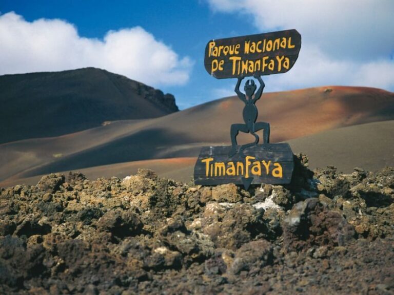 Lanzarote: Timanfaya National Park Tour - Who Is This Tour Best For?