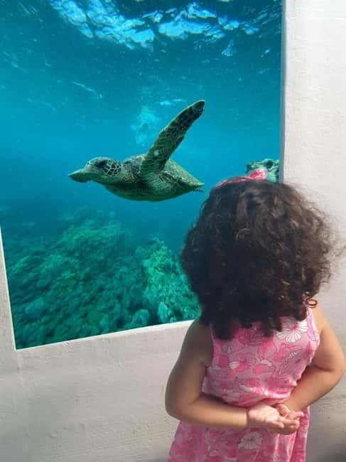 Larnaca: Yellow Submarine Swim Cruise with Unlimited Drinks - What is Included and What to Consider