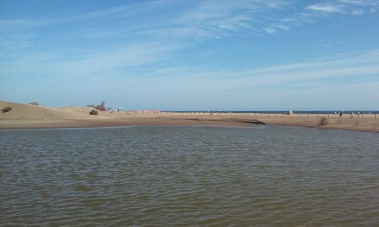 Las Palmas: 8-Hour Gran Canaria Island Highlights Tour - Who Will Enjoy This Tour Most?