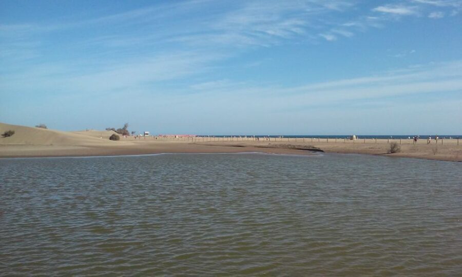 Las Palmas: 8-Hour Gran Canaria Island Highlights Tour - Who Will Enjoy This Tour Most?