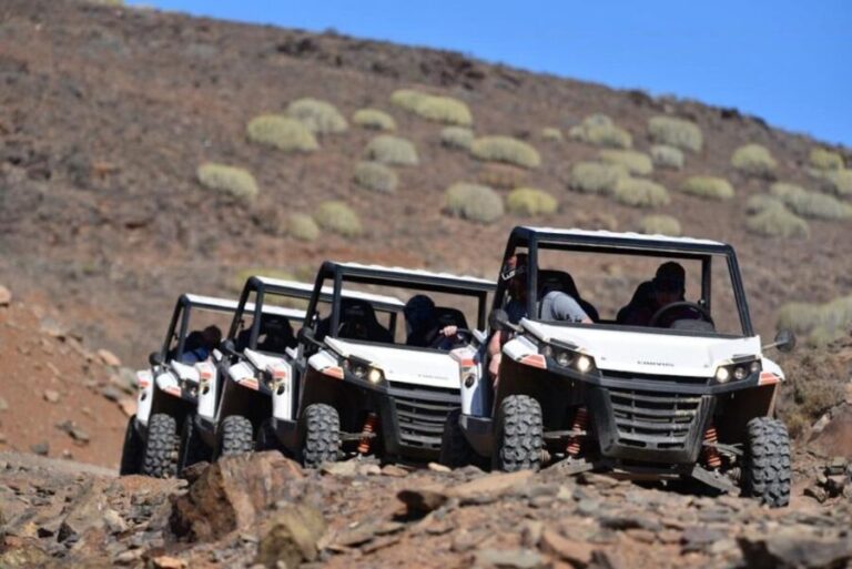 Las Palmas: Gran Canaria Guided Buggy Tour - The Practical Details