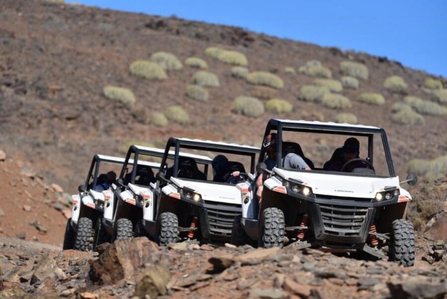 Las Palmas: Gran Canaria Guided Buggy Tour - The Practical Details