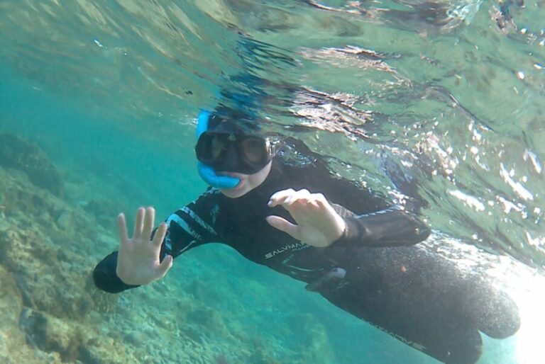 Las Palmas: Las Canteras Beach Snorkeling Trip - Why This Tour Offers Great Value
