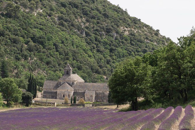 Lavender in Luberon Small Group Half-Day Trip - The Itinerary Breakdown