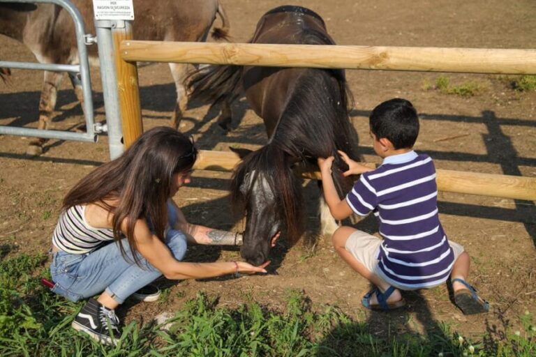 Lazise: Biodynamic Farm Tour and Natural Wine Tasting - What’s Included & What to Keep in Mind