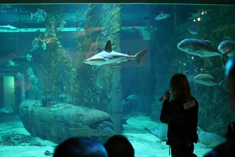 Le Grau-du-Roi: Seaquarium Skip-the-Line Entrance Ticket - An In-Depth Look at Le Grau-du-Roi’s Seaquarium