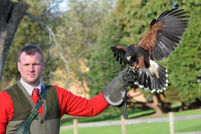 Leeds Castle Admission - Ultimate Explorer Tickets - What’s Included in the Ticket?