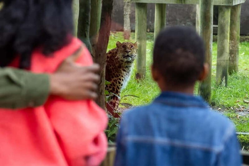 Leicestershire: Twycross Zoo Entry Ticket - Practical Details and Tips