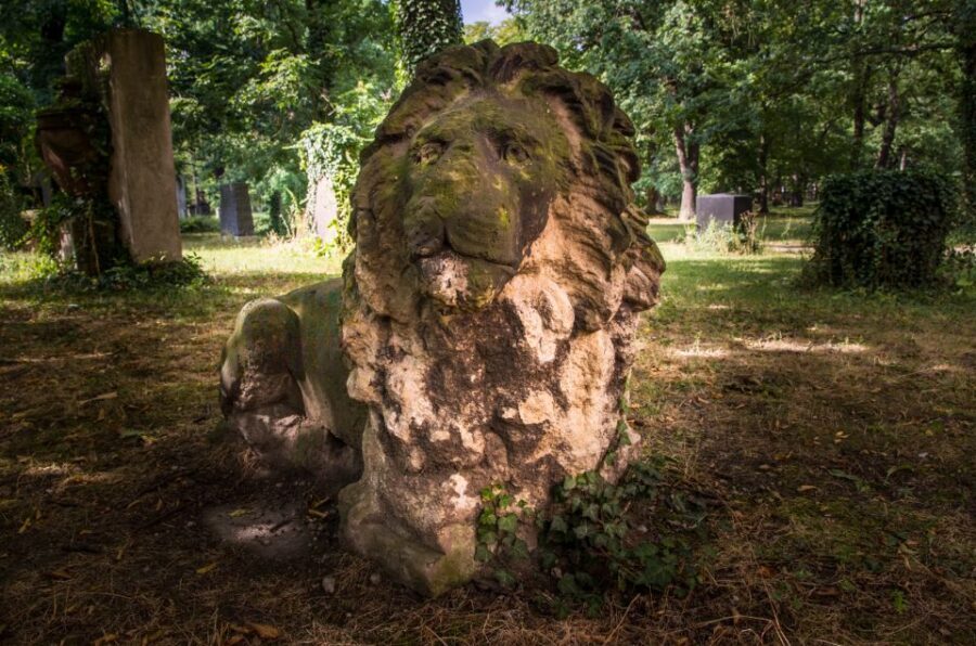Leipzig Old Cemetery: 75-Minute Dark History Tour - Who Will Love This Tour?