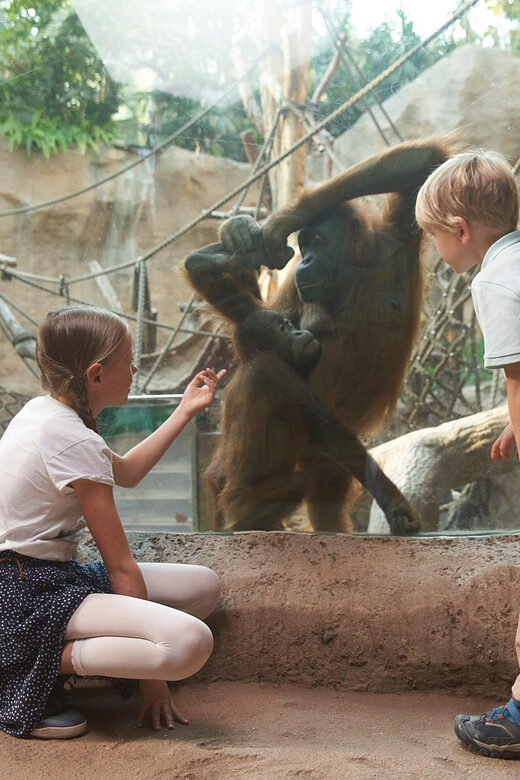 Leipzig Zoo: Entry Ticket - Final Thoughts: Is Leipzig Zoo Worth Visiting?