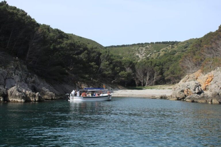 L'Estartit: Boat Trip to the Medes Islands and the NP Caves - Who Is This Tour Best For?