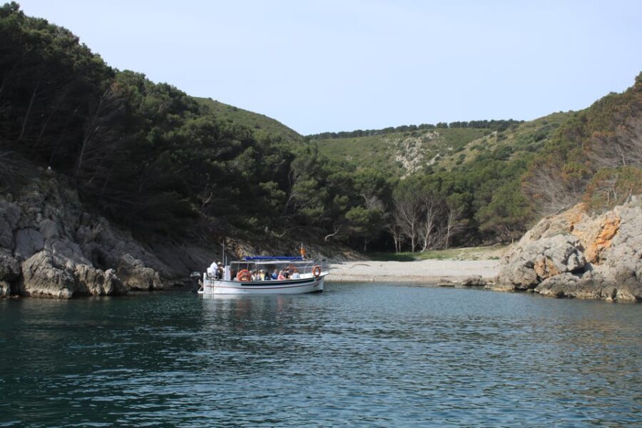 L'Estartit: Boat Trip to the Medes Islands and the NP Caves - Who Is This Tour Best For?