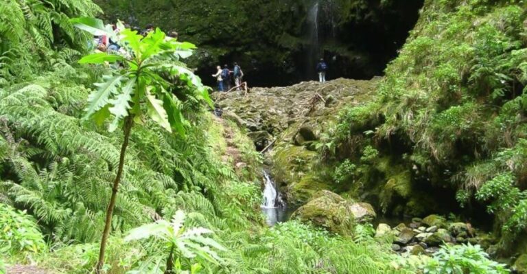 Levada Walk and Caldeirao Verde Waterfalls: Madeira - The Sum Up: Who Is This Tour Best For?
