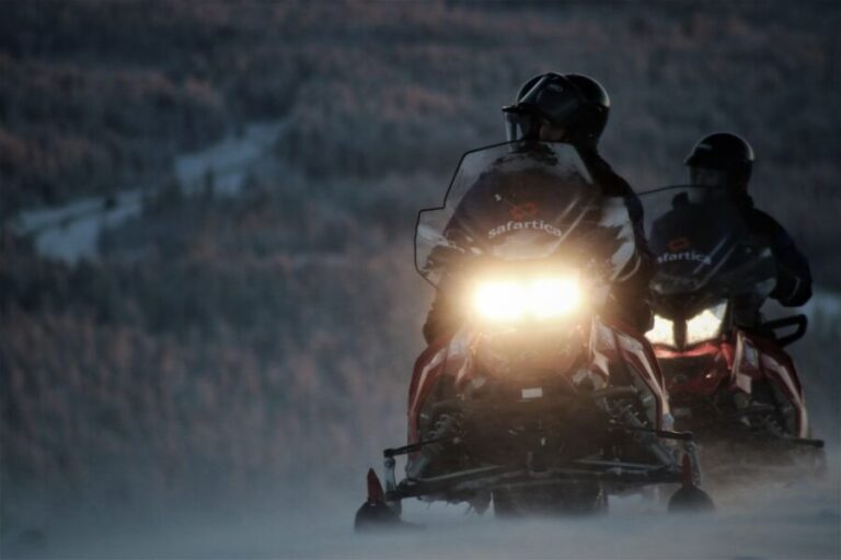 Levi: Evening Snowmobile Safari - Who Would Enjoy This Tour?