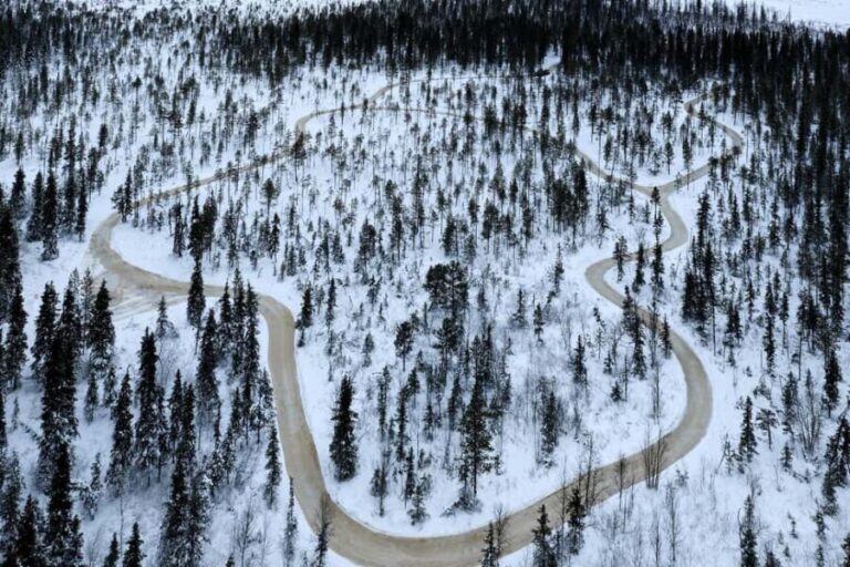 Levi: Lovimainas Arctic Forest Ice Skating (1km) - Practical Details and Value