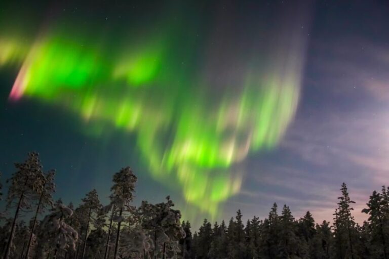 Levi: Northern Lights Hunting Photo Tour - Who Should Consider This Tour?