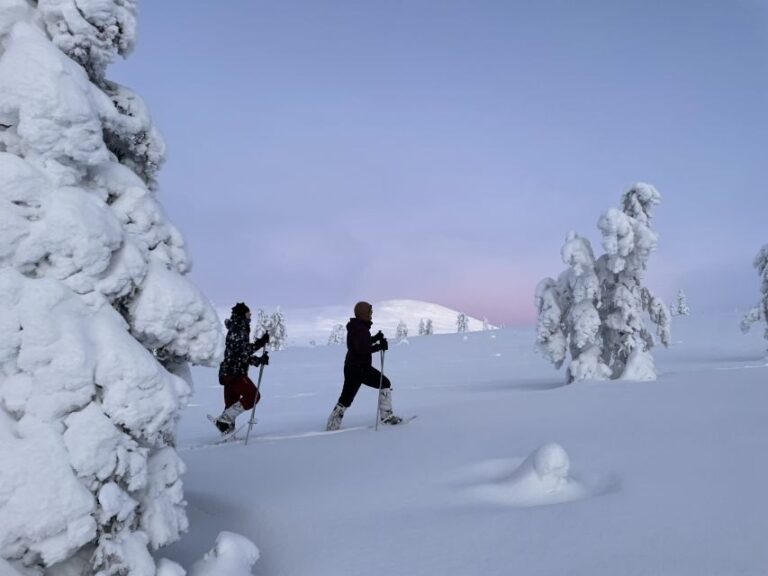 Levi: Pallas-Yllästunturi National Park Snowshoeing Tour - Why This Tour Excels: The Authentic Arctic Experience