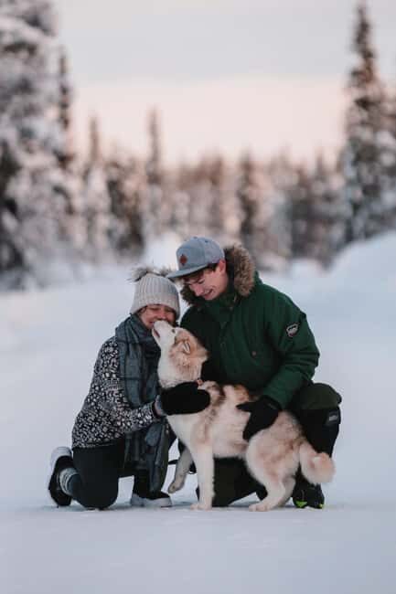 Levi: Self-Drive 2 KM Husky Sledding Experience - Detailed Itinerary Breakdown