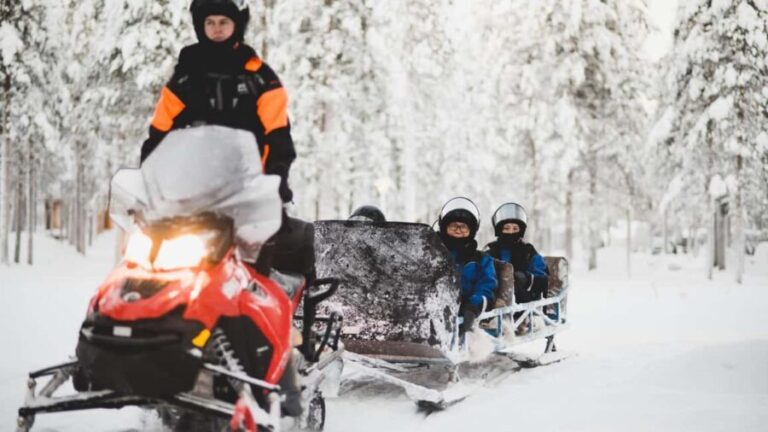Levi: Snowmobile Safari to the Levi Nature - What You Can Expect from the Tour