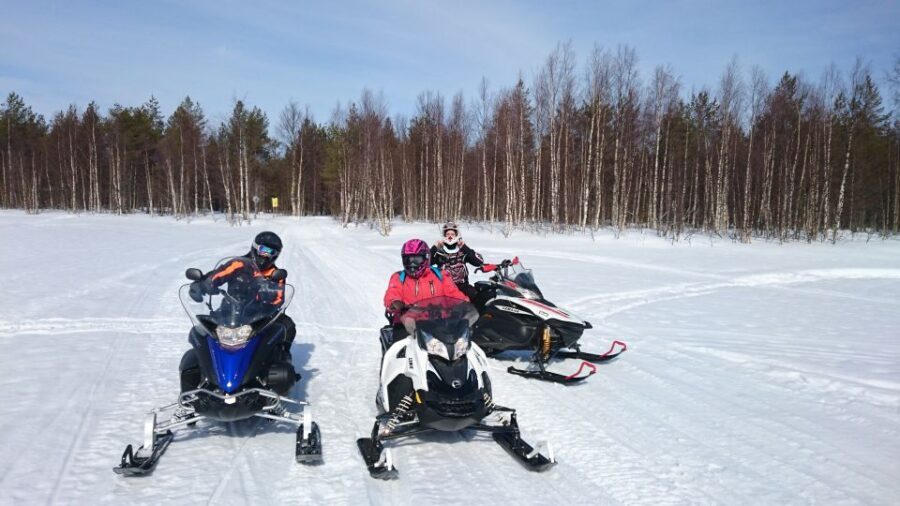 Levi: Winter Highlights Tour with Snowmobiling - Who Will Love This Tour?