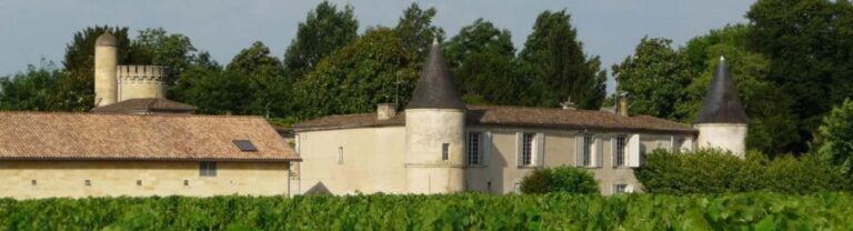 Libourne: Winery Tour with Wine and Chocolate Tasting - What the Reviews Tell Us