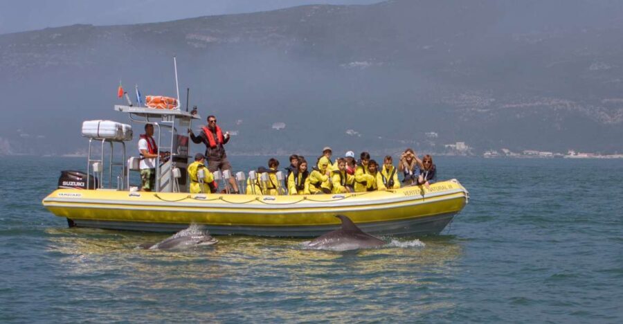 Lisbon: Arrábida Natural Park Dolphin Watching Boat Tour - The Search for Dolphins