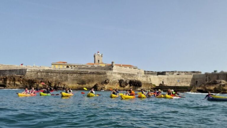 Lisbon: Coast Guided Kayak Tour - Who Should Consider This Tour?