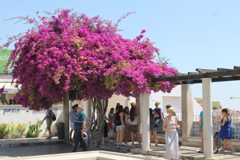 Lisbon: Full-Day Private Walking Sightseeing Tour - What to Expect on the Tour