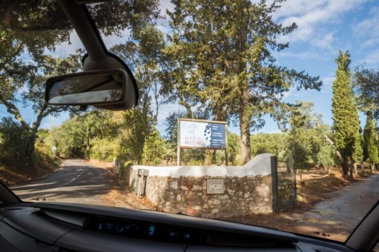 Lisbon Private Setúbal Region Wine Tasting Tour - Final Thoughts