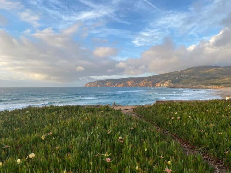 Lisbon to: Sintra, Pena & Regaleira guided 8pax group tour - The Value and Practicality of This Tour