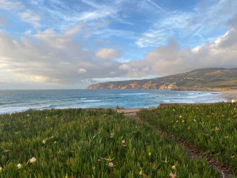 Lisbon to: Sintra, Pena & Regaleira guided 8pax group tour - The Value and Practicality of This Tour