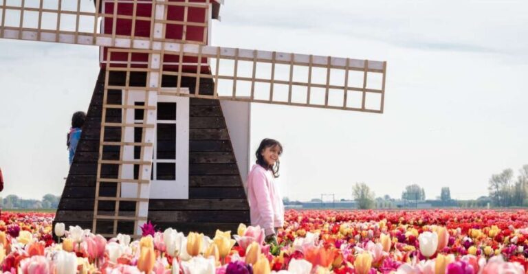 Lisse: Tulip Experience Ticket with Tulip Garden and Museum - The Sum Up