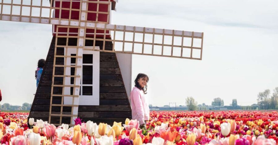 Lisse: Tulip Experience Ticket with Tulip Garden and Museum - The Sum Up